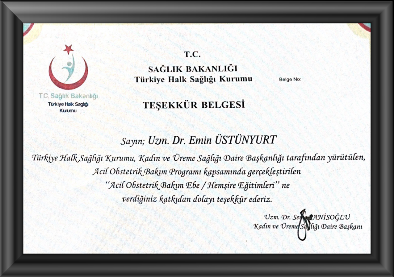Galeri ve Sertifikalar - Prof. Dr. Emin Üstünyurt - Yumurtalık (Over) Kisti Tedavisi - 0533 737 ...